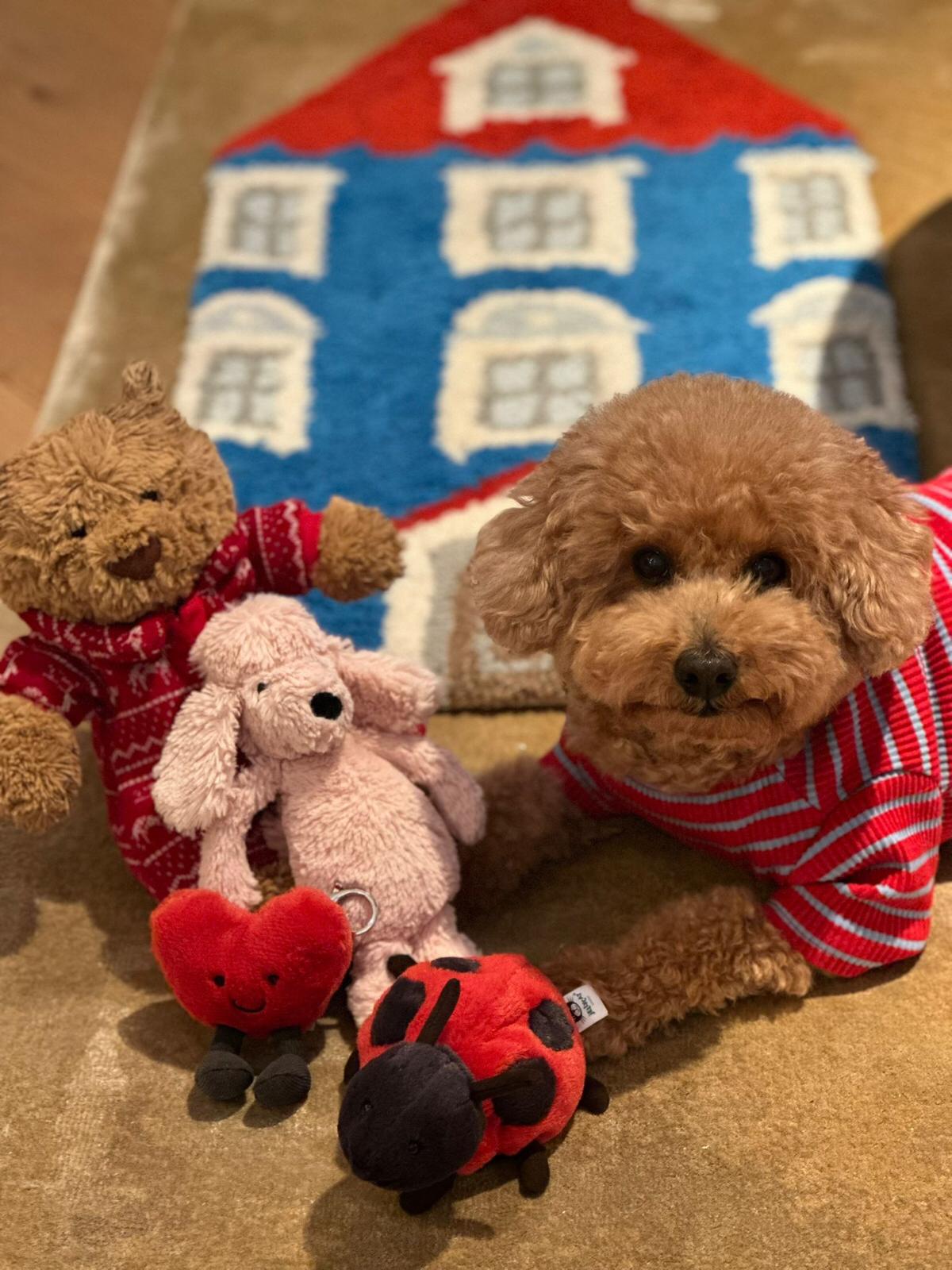 Journey Through Ferris’ World: Meet Clifton’s Cuddly Buddy - Interior ...
